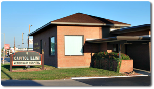 Springfield Vet Clinic | Capitol Illini Veterinary Services